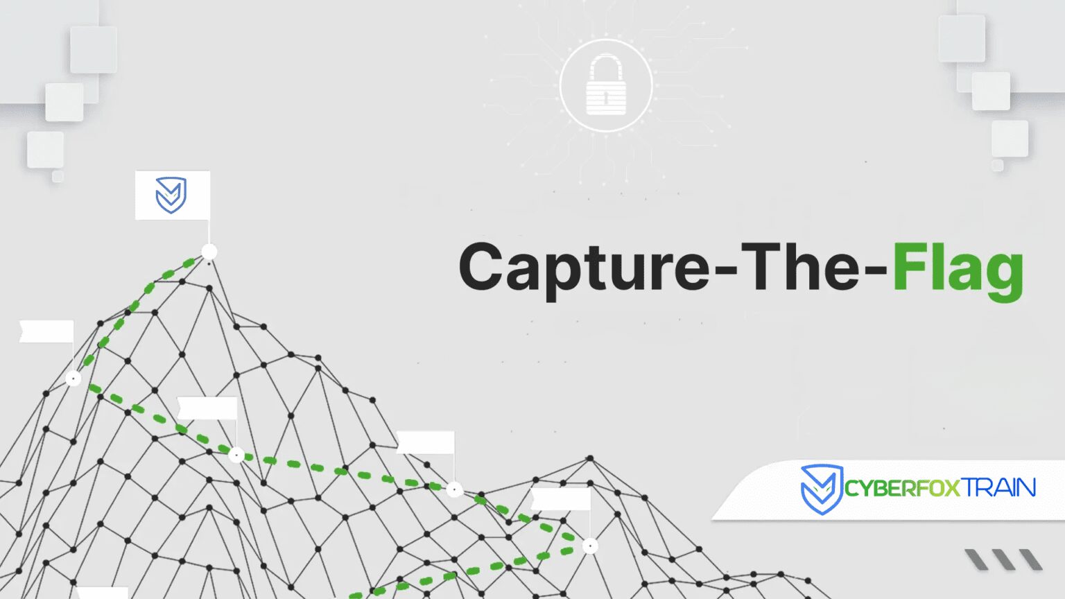 CTF Training Program | Capture the Flag Training | CyberFox Train